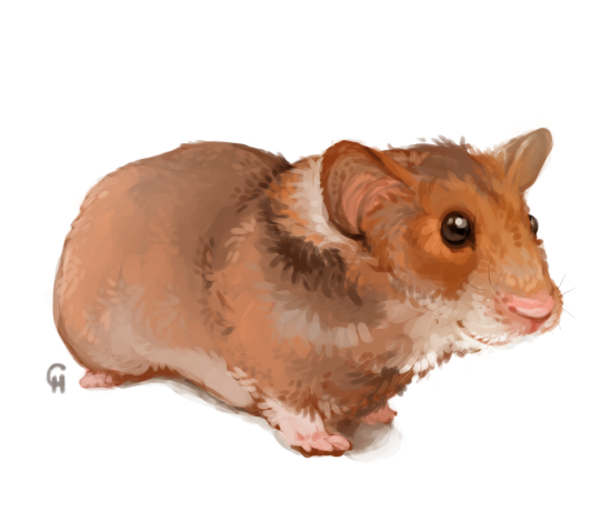 Wee-Beasties | DeviantArt