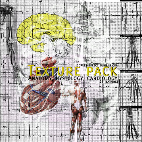 Anatomic textures by Juli-BadVampire on DeviantArt