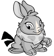 Silver as a Cybunny by ABFan21 on DeviantArt