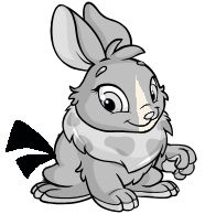 Silver as a Cybunny by ABFan21 on DeviantArt