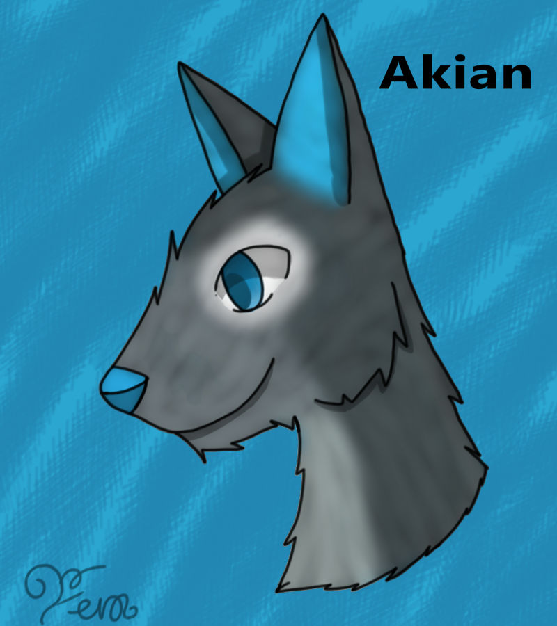 Akian by Fernfrost21 on DeviantArt
