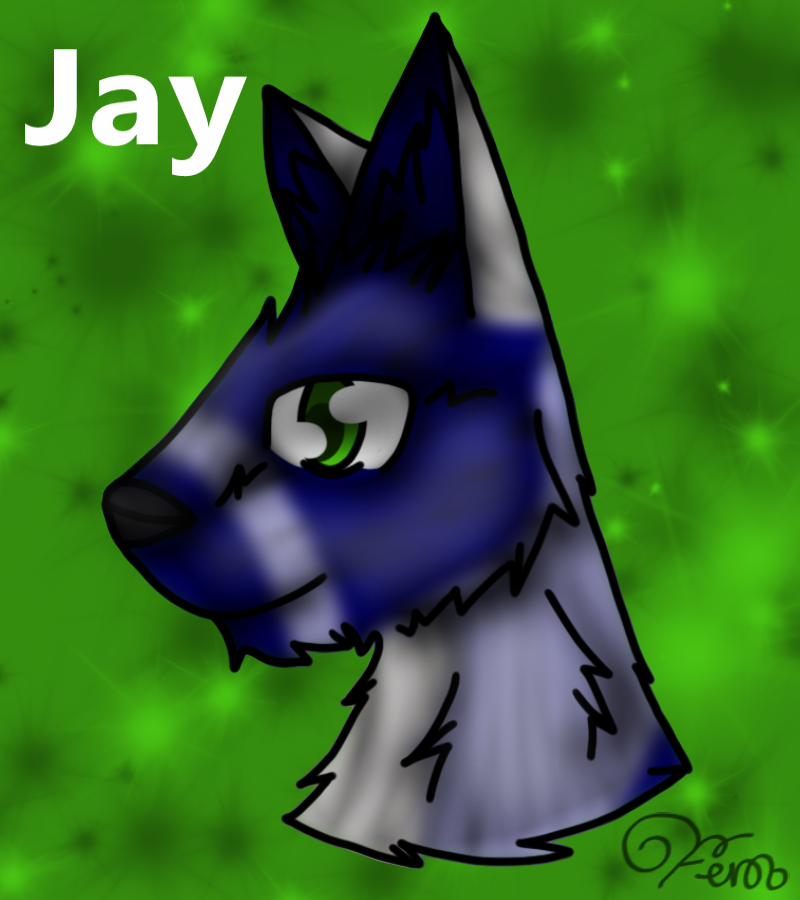 Jay by Fernfrost21 on DeviantArt