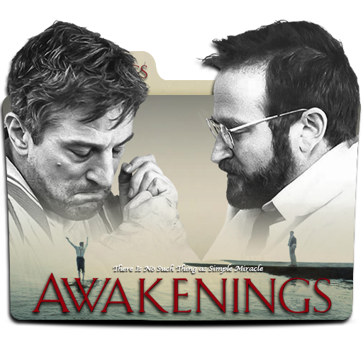 Awakenings (1990) folder icon by post1987 on DeviantArt