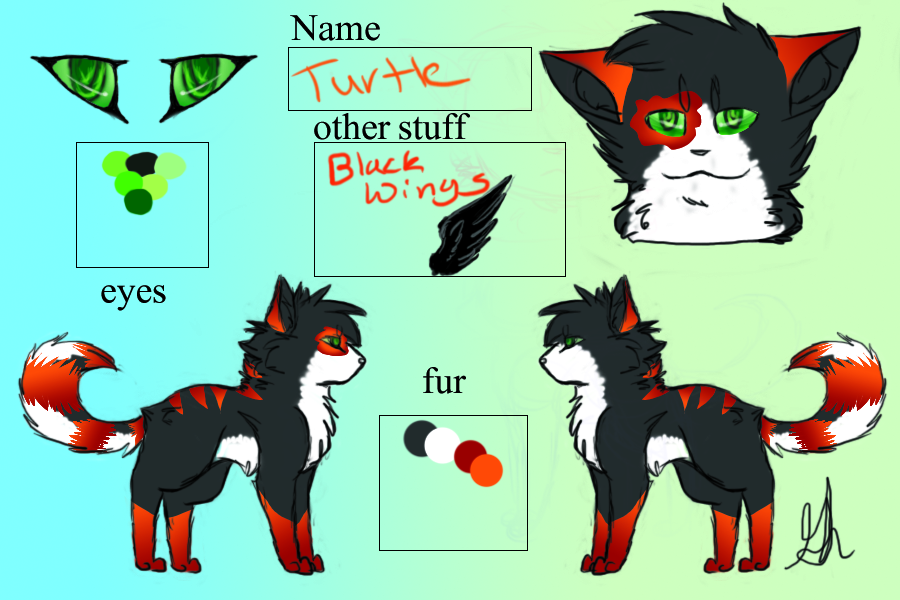 Turtle Reference by FrostCat77 on DeviantArt