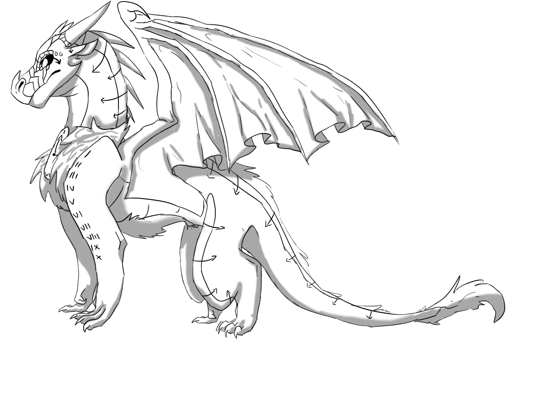 Timewing Reference by Londonox on DeviantArt