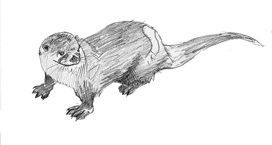 otta by chubbywumba on DeviantArt