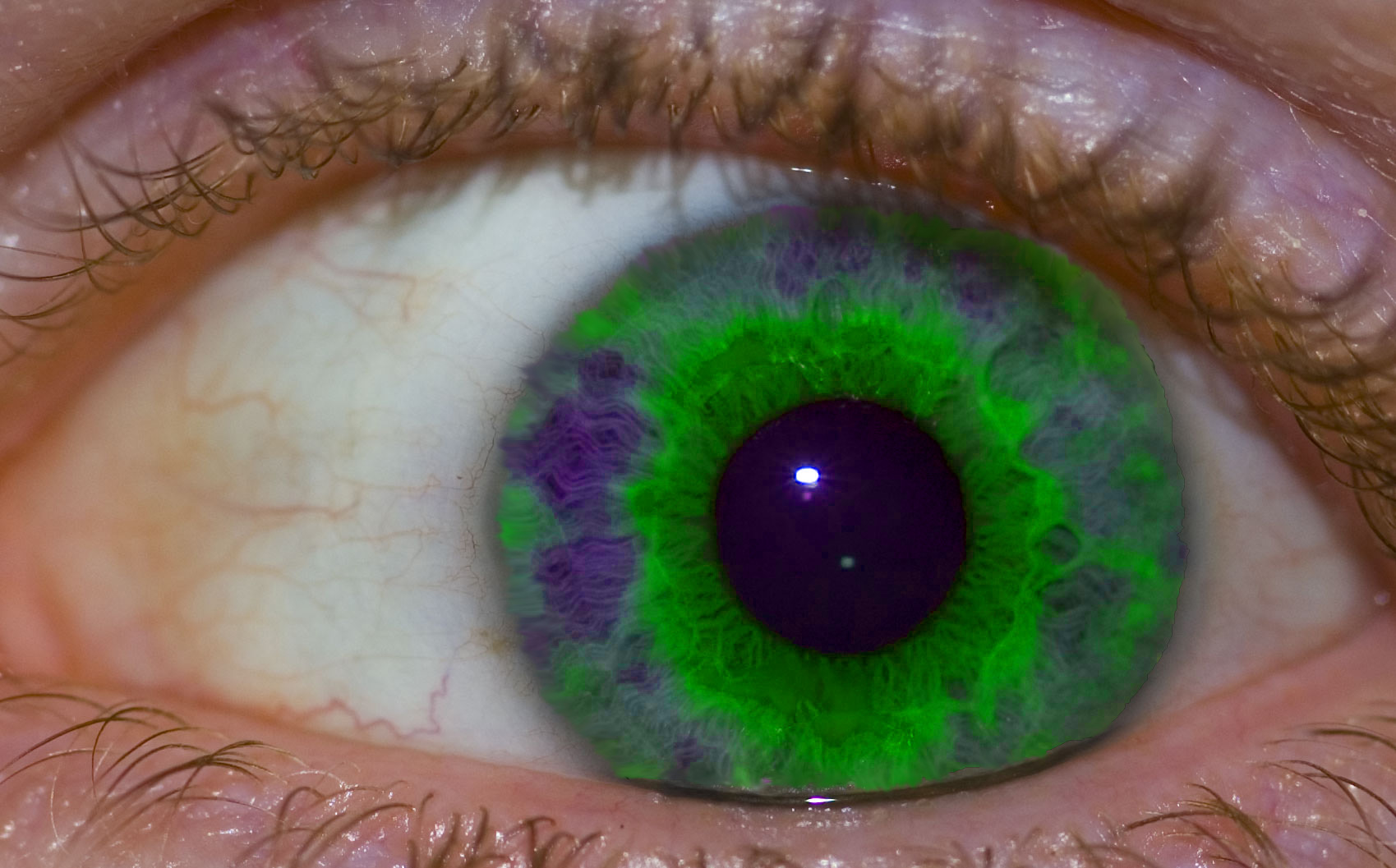 big eye by chubbywumba on DeviantArt