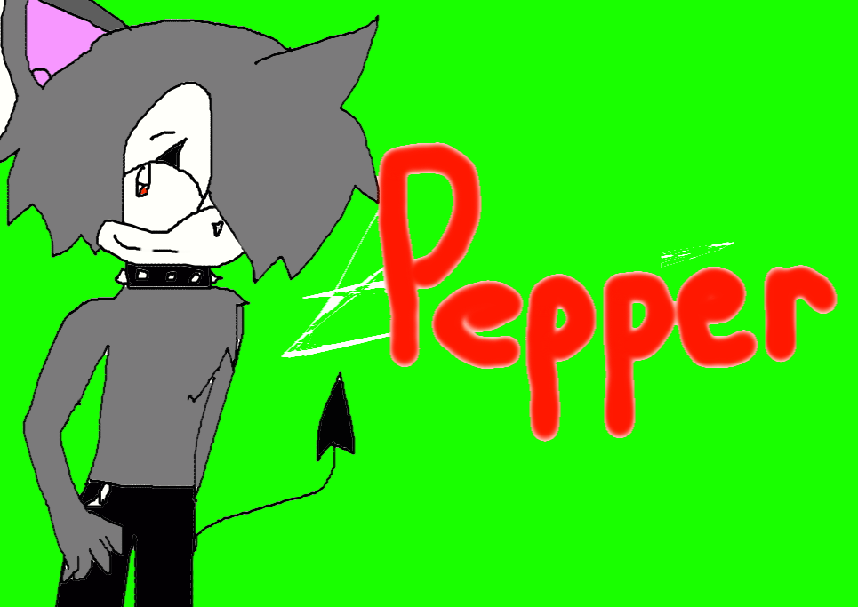 Pepper the Cat by darkdragonAero on DeviantArt