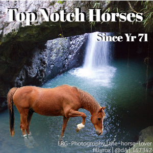 Top Notch Avatar by niamhej on DeviantArt