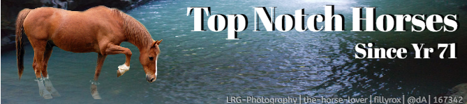 Top Notch Banner by niamhej on DeviantArt