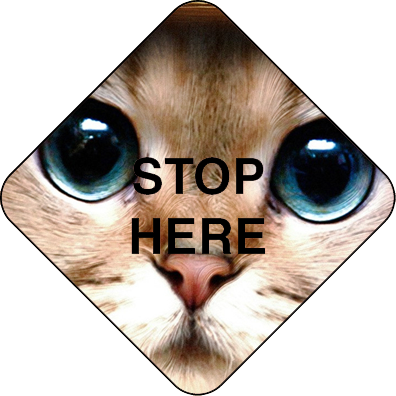 Stop sign, cat edition by theone1super on DeviantArt