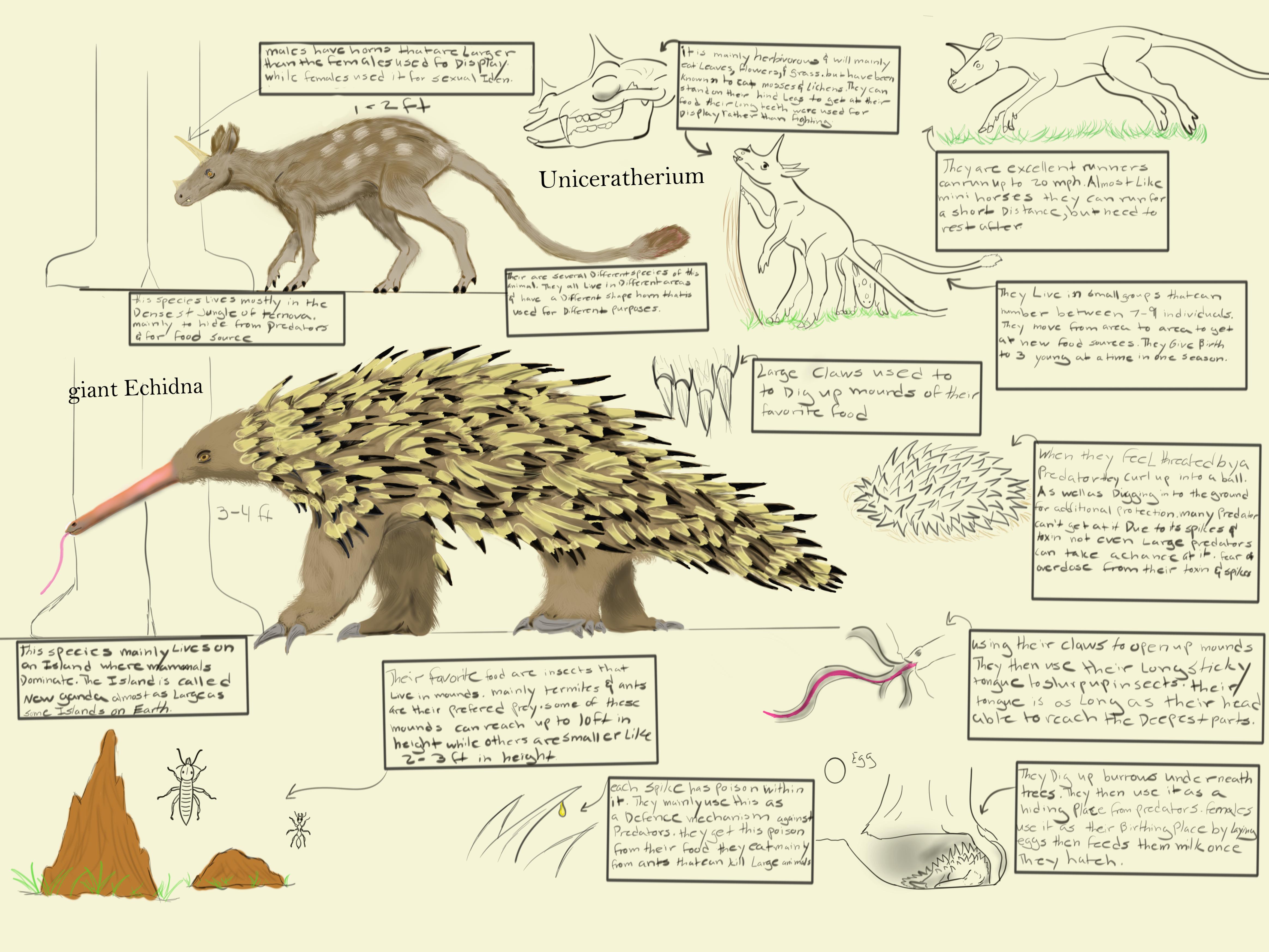 Field guide to ternova week 10 by Rexyfan93 on DeviantArt