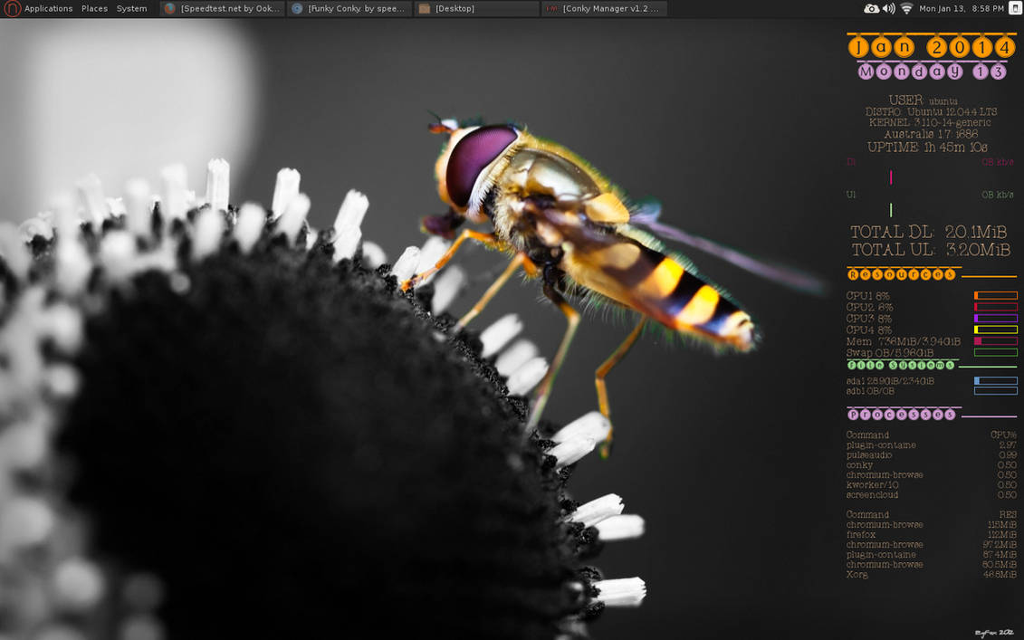 Funky Conky version B by speedracker on DeviantArt