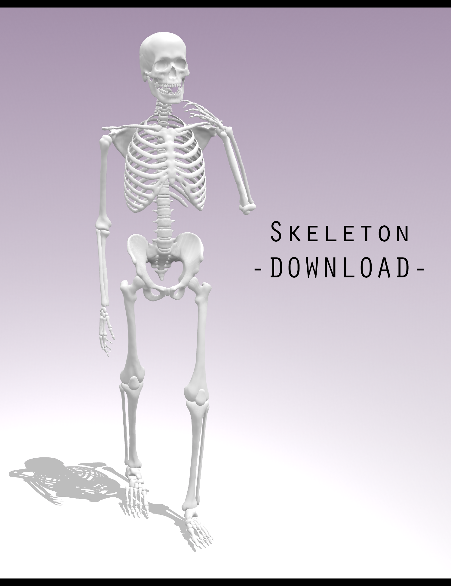 Skeleton [ DOWNLOAD ] by PeachMilk3D on DeviantArt