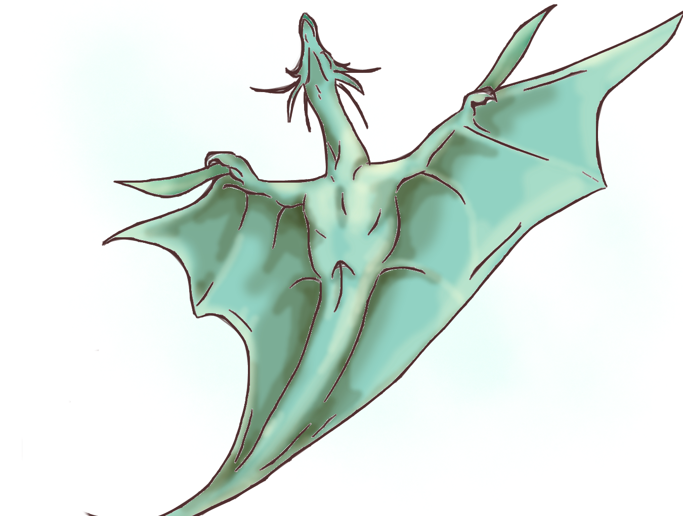 Amphithere Dragon - Murosketch by SusuSketches on DeviantArt