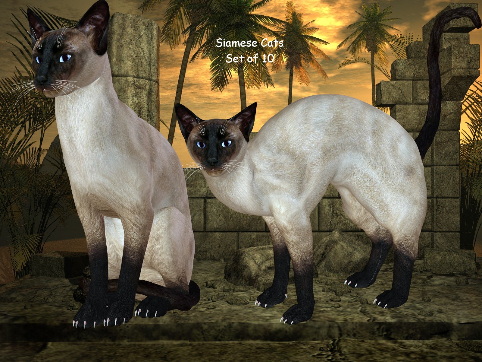 Siamese Cats by oldhippieart on DeviantArt