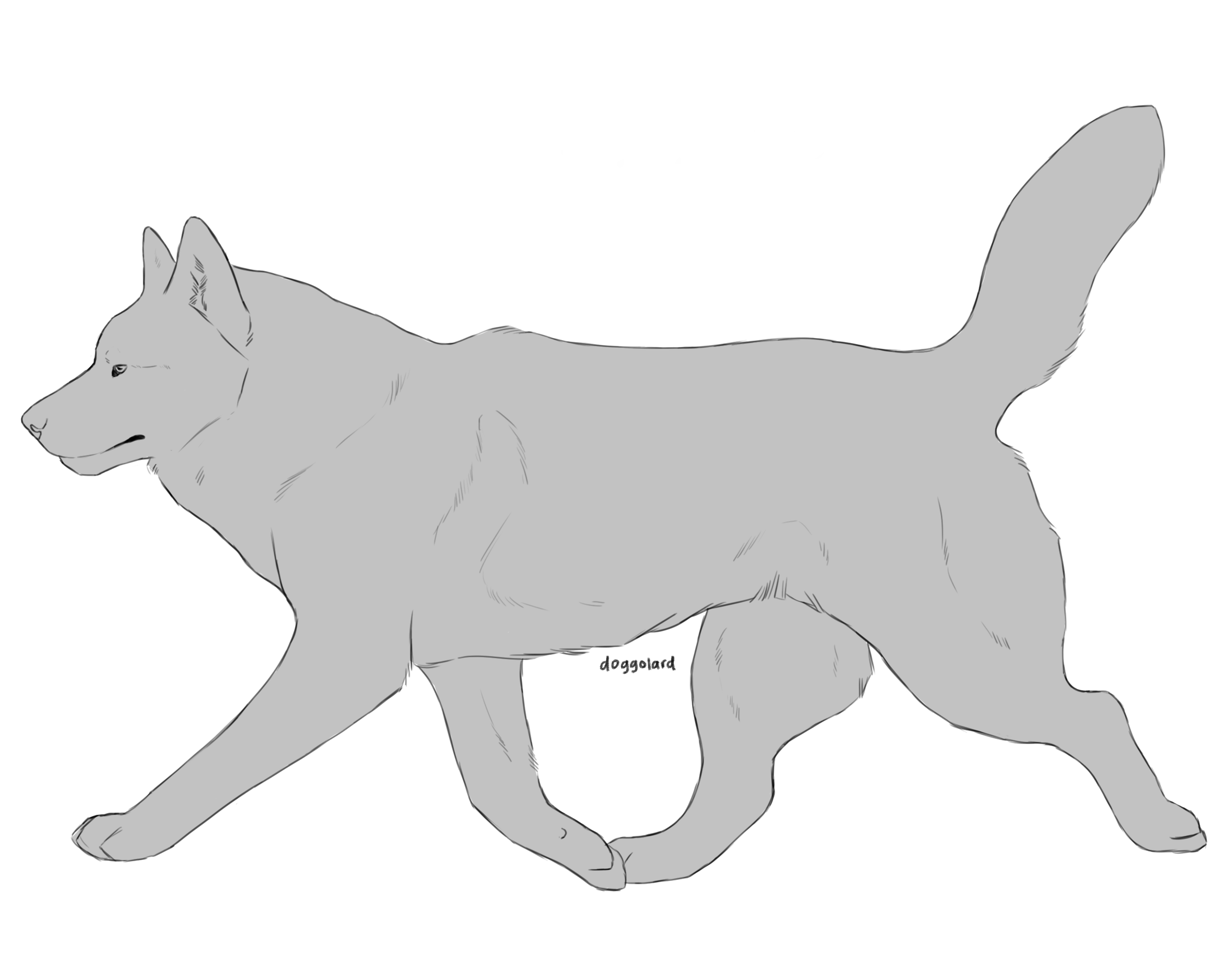 Siberian Husky Gait Lineart UPDATE | P2U by doggolard on DeviantArt
