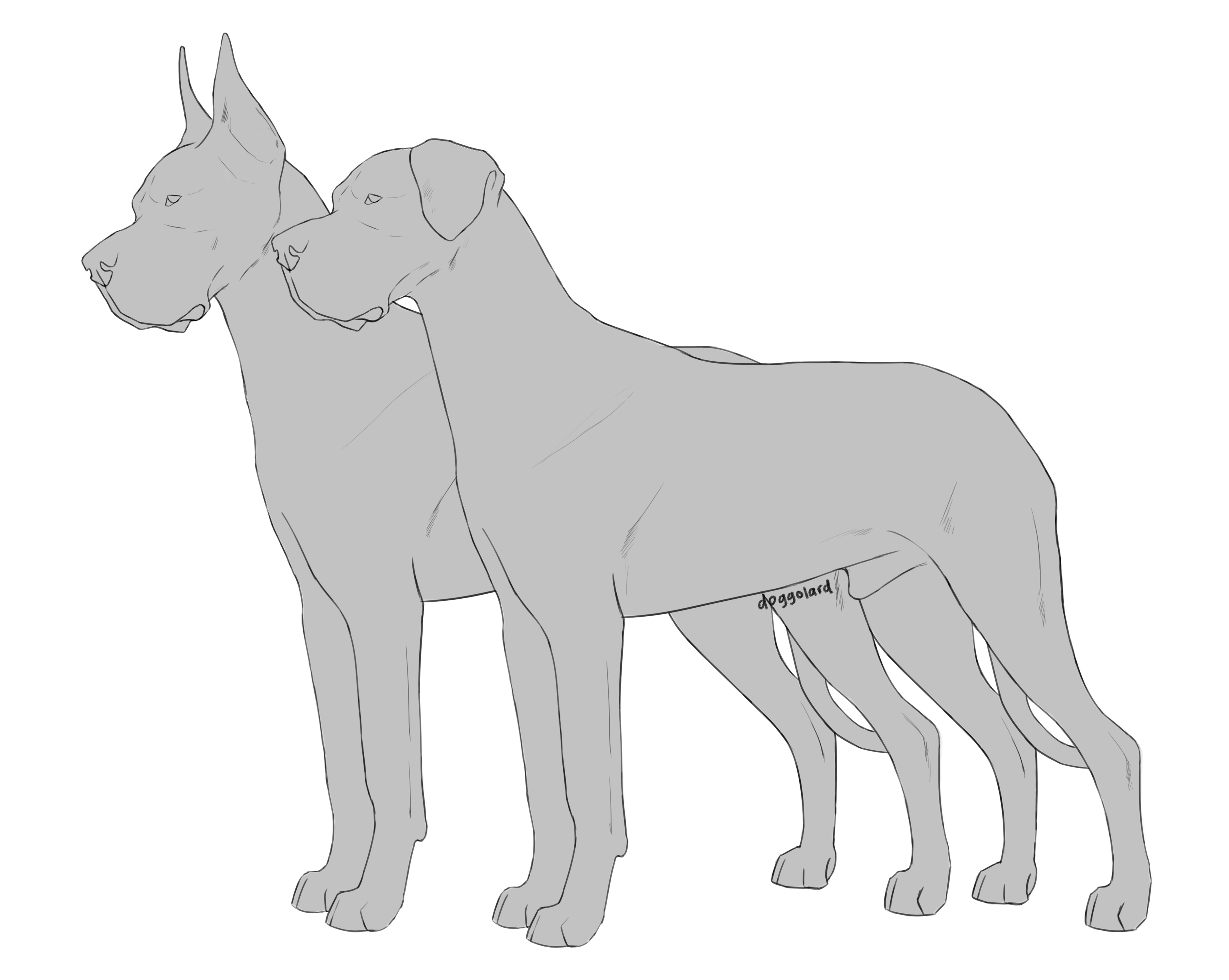 Great Dane ( Natural and Cropped ) Lineart | P2U by doggolard on DeviantArt