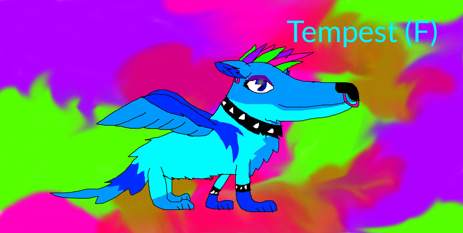 Tempest (F) by Zeira-Wolf on DeviantArt