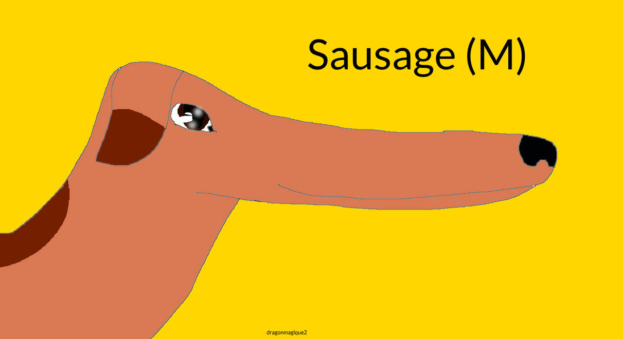 Sausage , the sausage-dog by Zeira-Wolf on DeviantArt
