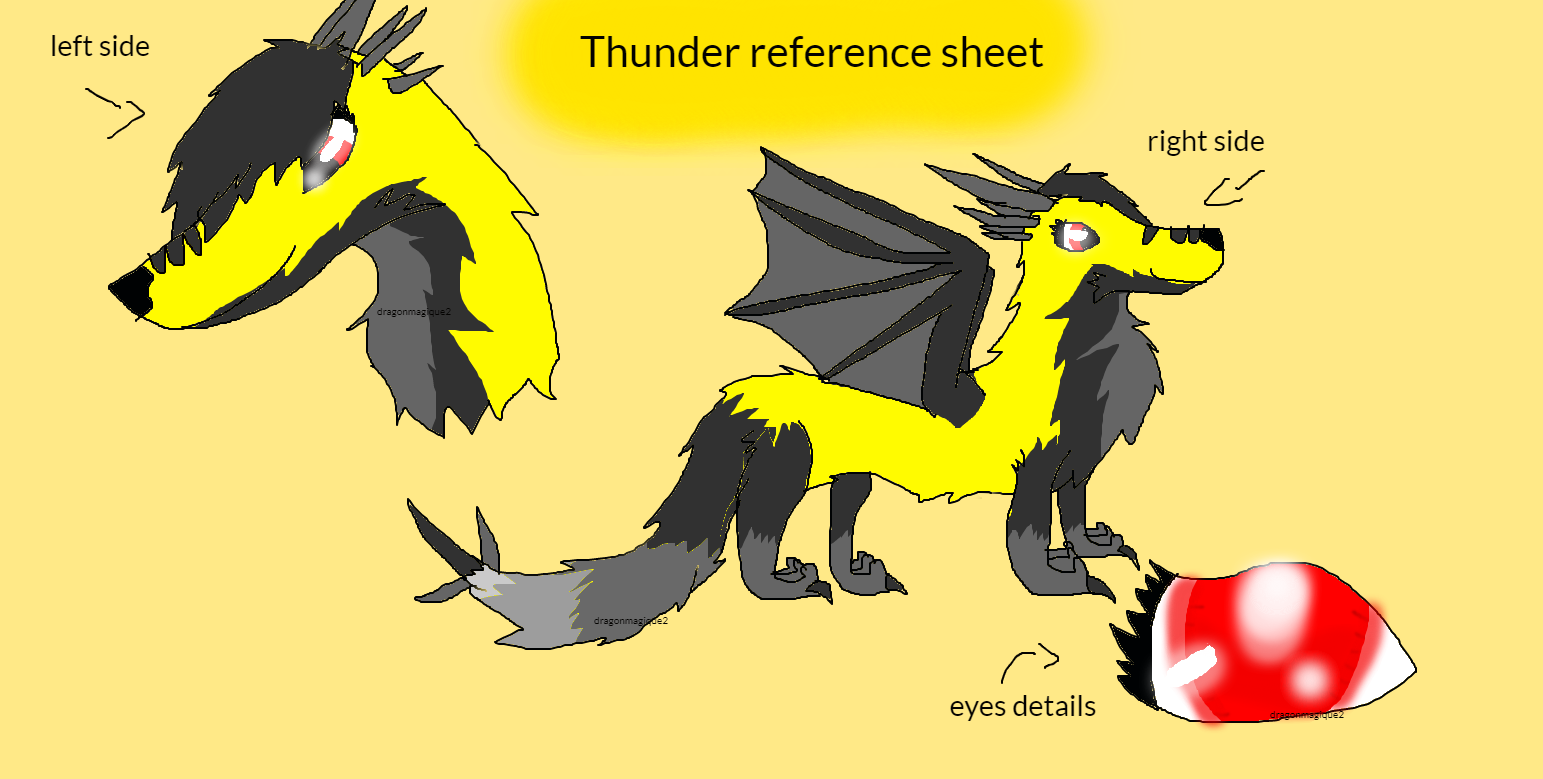 Thunder Reference Sheet - Drof by Zeira-Wolf on DeviantArt
