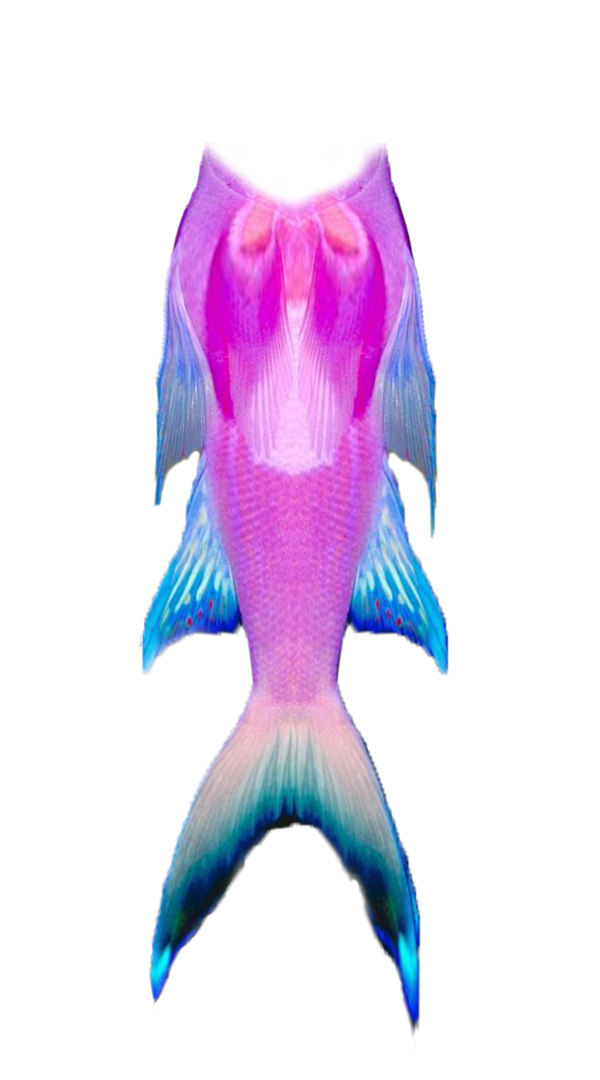 Tropical Mermaid Tail by CelticRain1984 on DeviantArt