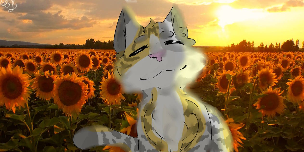 Ivory KIBI by Autumnfall1919 on DeviantArt