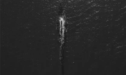 Tapwing - Professional, Digital Artist | DeviantArt