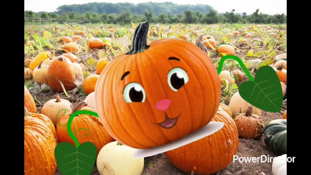 Daniel Tiger as a pumpkin from Starfall by torrjua11011 on DeviantArt