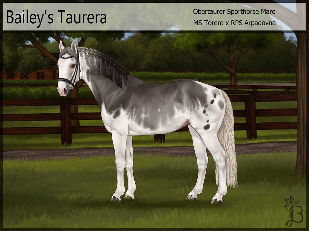 Bailey's Taurera by BaileyOaks on DeviantArt