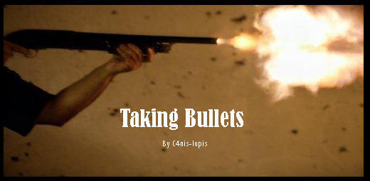 Taking Bullets by C4nis-Lupis on DeviantArt