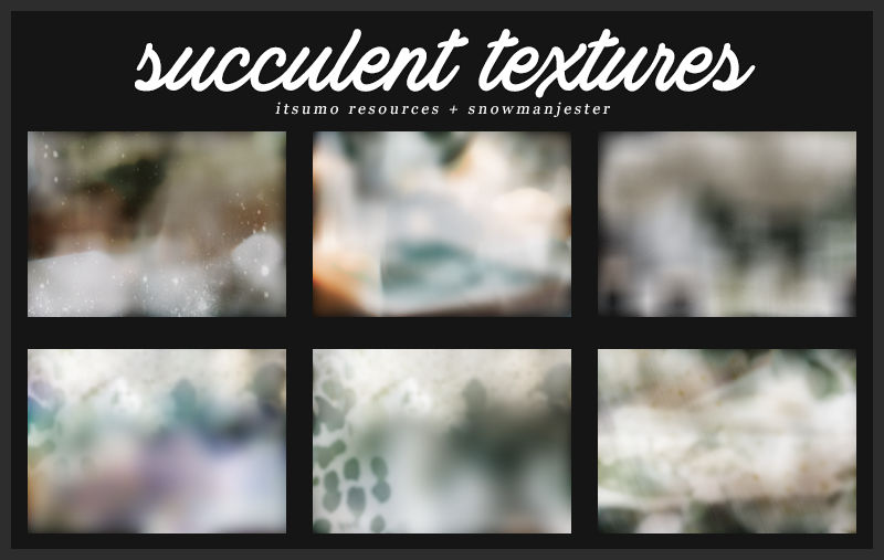 Succulent Texture Pack by snowmanjester on DeviantArt