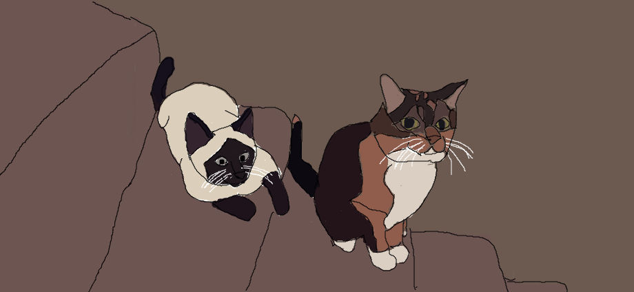 My cats- Clyde on the left, Morrie on the right by Ech0ris on DeviantArt