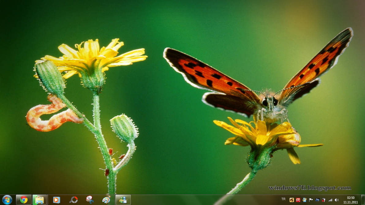 Windows 7 Butterfly HD Theme by CyberAngel86 on DeviantArt
