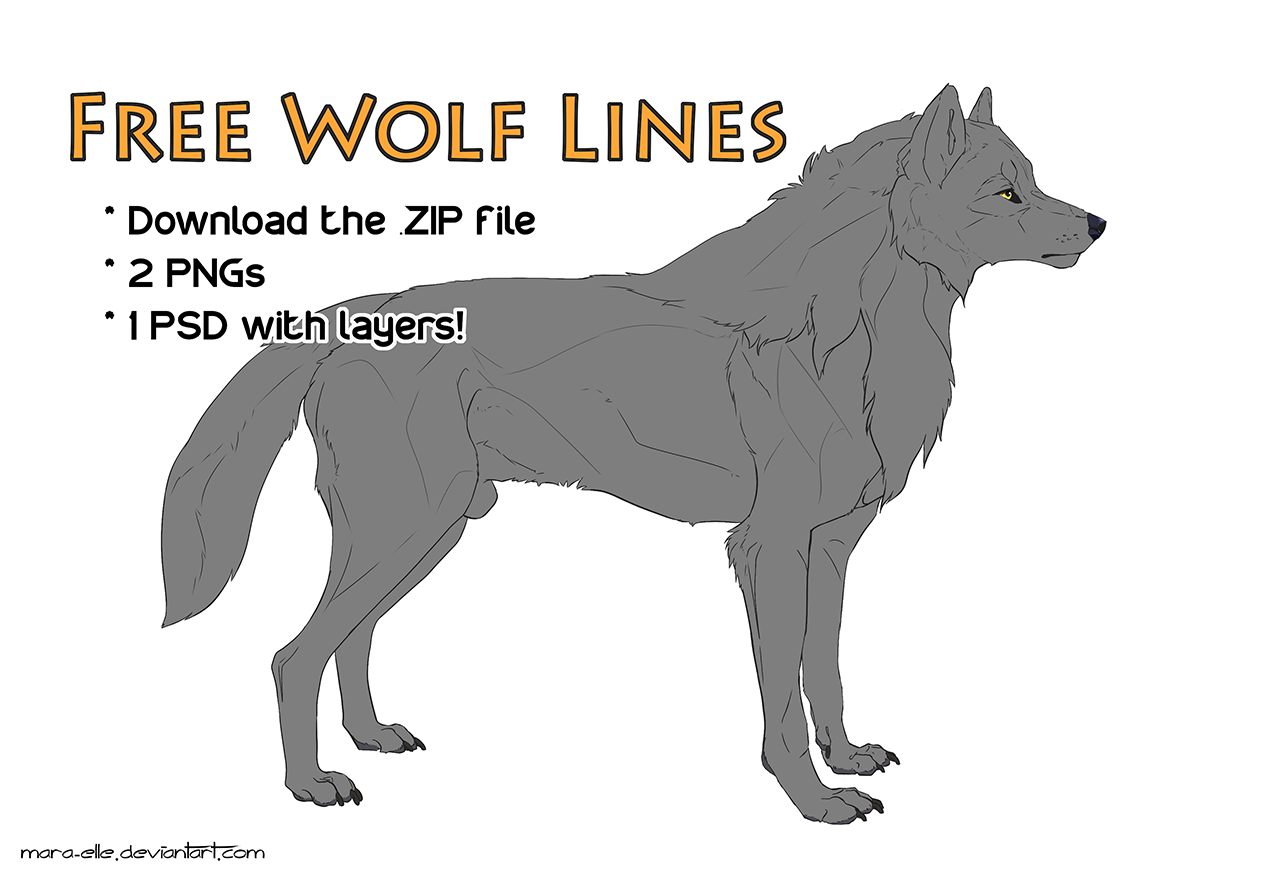 Free Wolf Lines by Mara-Elle on DeviantArt