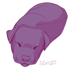 Newborn Pup Lines F2U by ForgottenAmnesty on DeviantArt