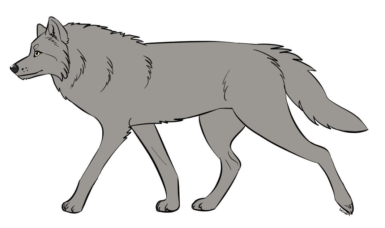 Free Wolf Lineart by ForgottenAmnesty on DeviantArt