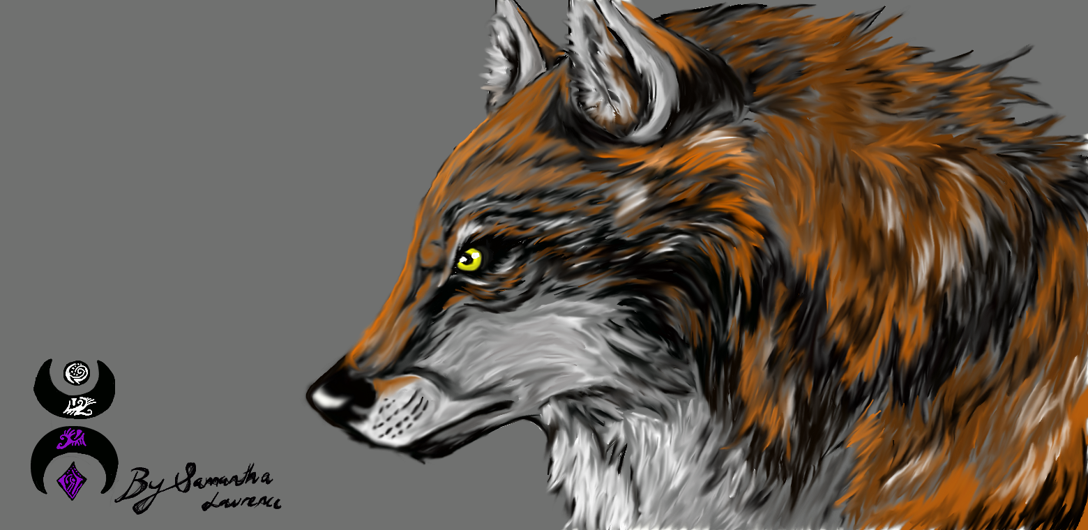 wolf prince by sl12234 on DeviantArt