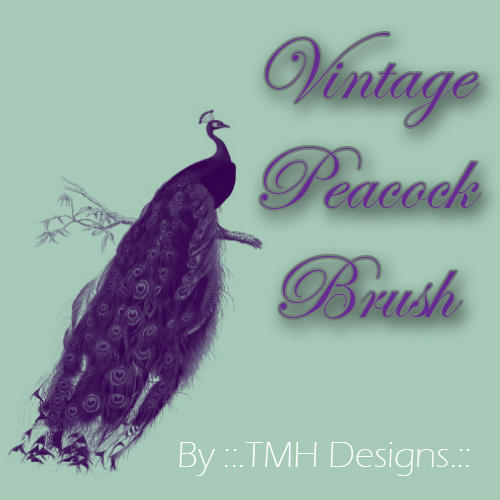 Vintage Peacock Brush by frenzymcgee on DeviantArt