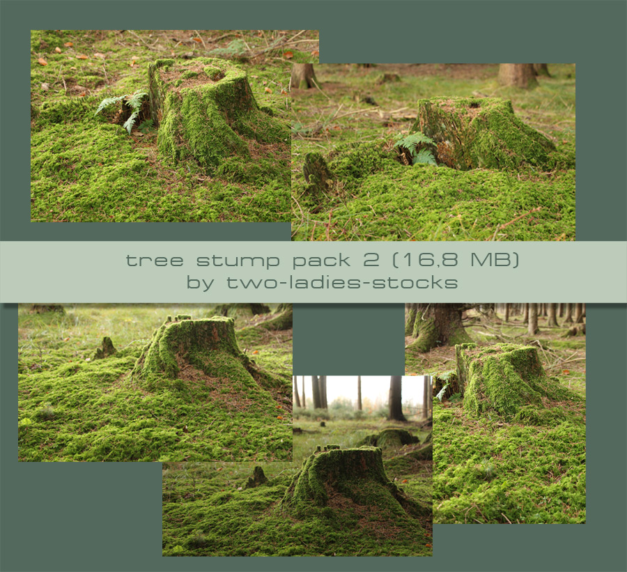 Tree-stump Pack2 by two-ladies-stocks on DeviantArt