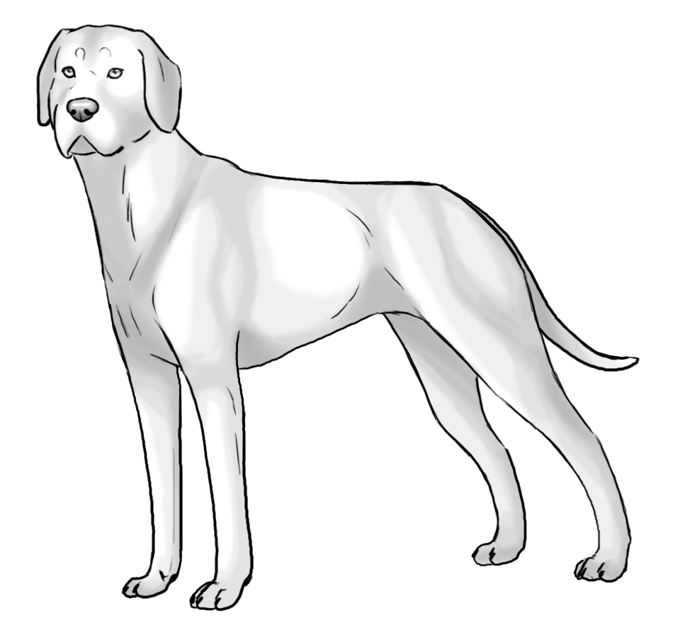 Free English Pointer lineart by AkaKennel on DeviantArt
