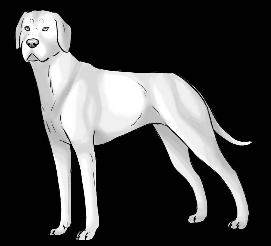 Free English Pointer lineart by AkaKennel on DeviantArt