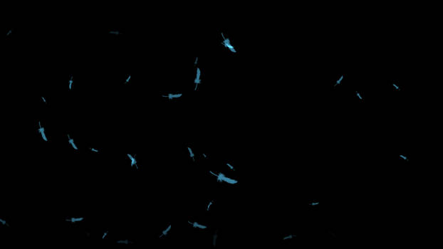 MMD-Effects | DeviantArt