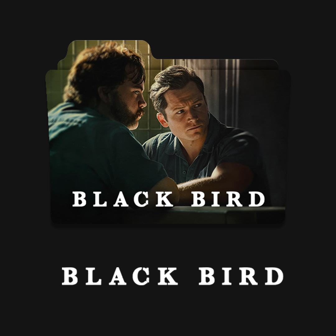 Black Bird 2022 Folder Icon by blkghst9 on DeviantArt