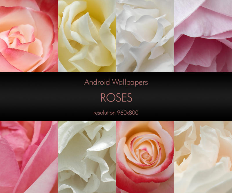 Android Wallpaper Pack 01 Roses by freyiathelove on DeviantArt