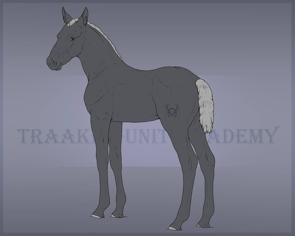 Official Traaker foal lineart | :. by Pashiino on DeviantArt