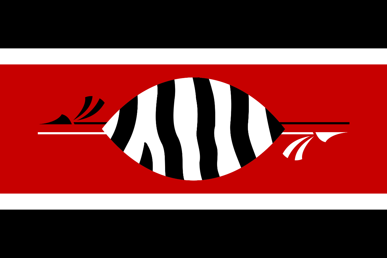 CMC: Colonels - Kingdom of Wasoland Flag by MustaphaTR2 on DeviantArt