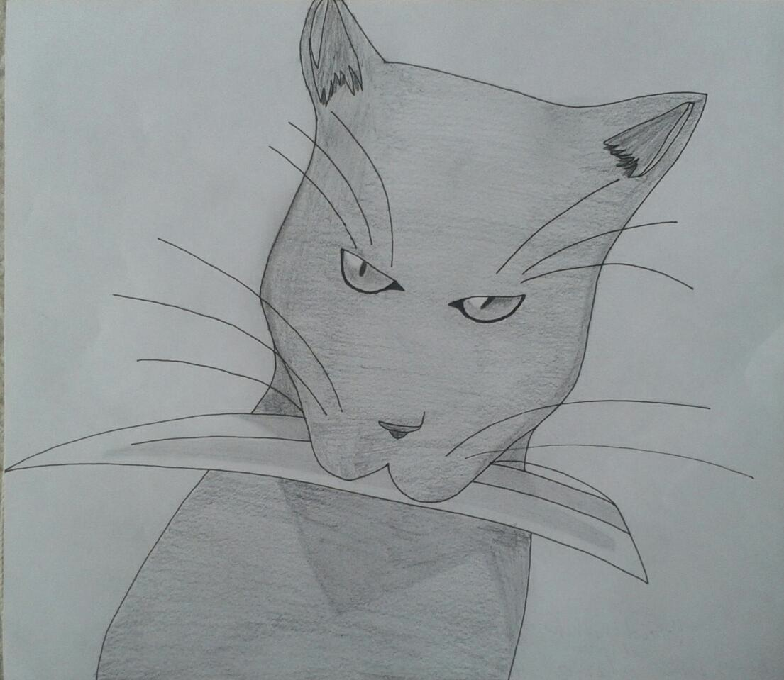 Yoruichi cat form by Blue-LightningXXI on DeviantArt