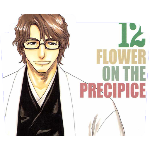Bleach Manga Volume 12 Cover Icon Folder by Saku434 on DeviantArt