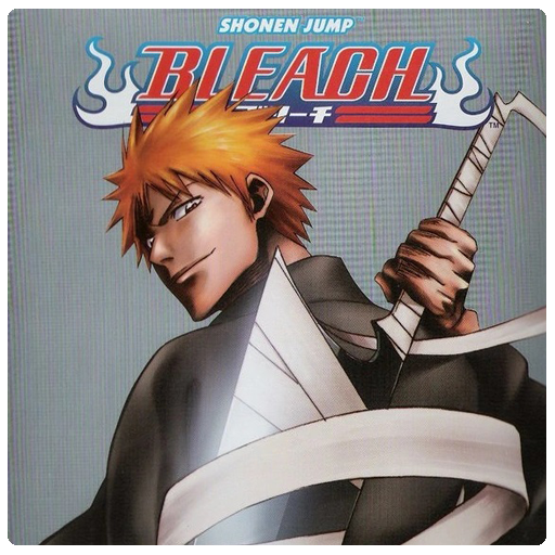 Bleach 06 - Kurosaki Ichigo (Folder Icon) by Saku434 on DeviantArt
